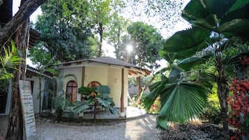 Vista para o jardim