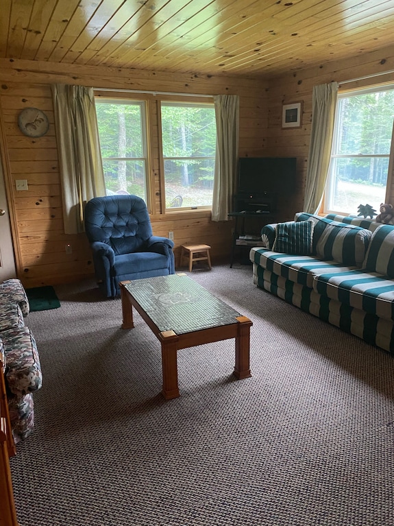 Quiet, Pet Friendly Cottage Near Moosehead Lake! - Maine