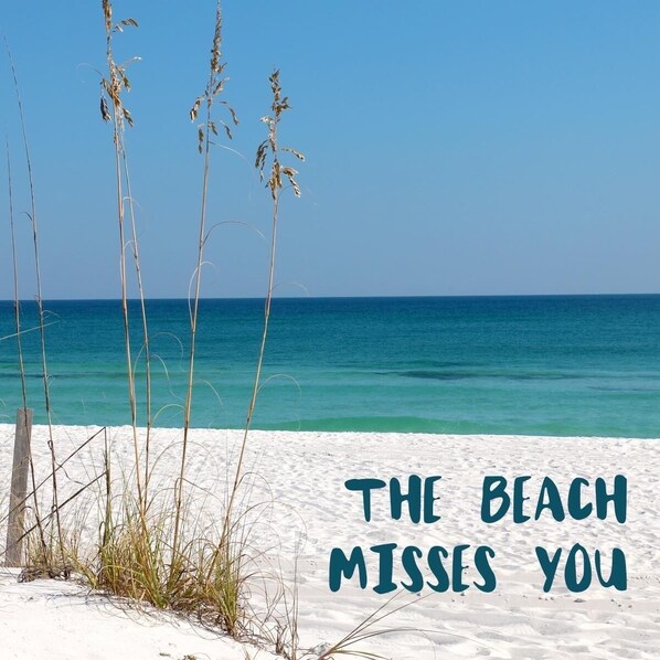 BEACH SERVICE FREE WITH RENTAL🌴🐬SUNSET IN PARADISE 3B - HEATED POOL ...