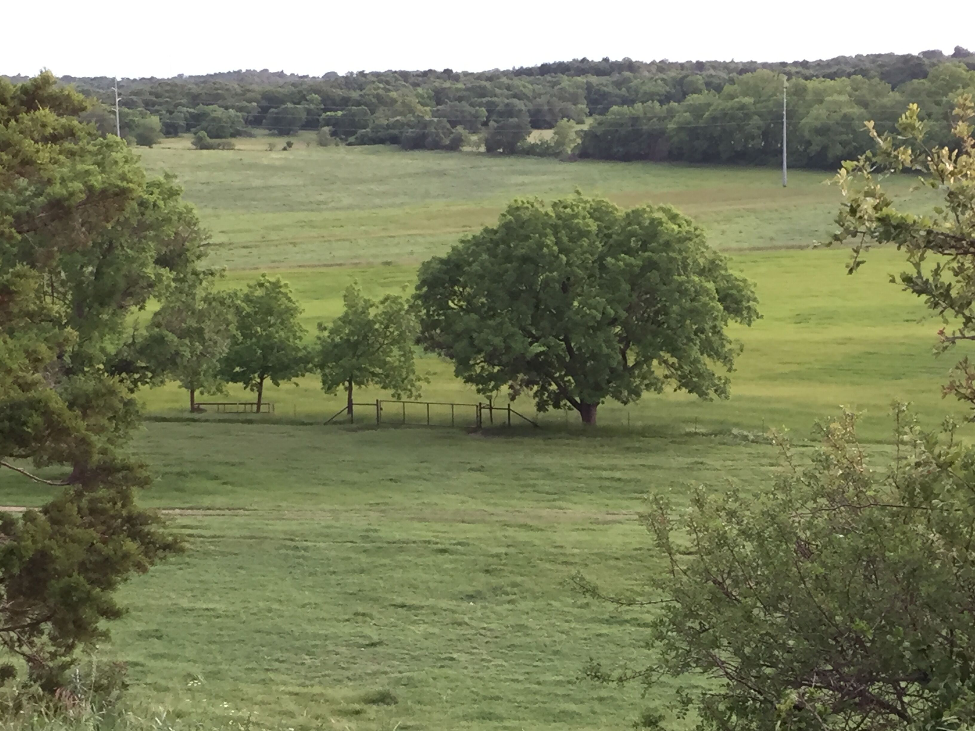 17 Best Ranches In Dallas, Texas - Updated 2024 | Trip101