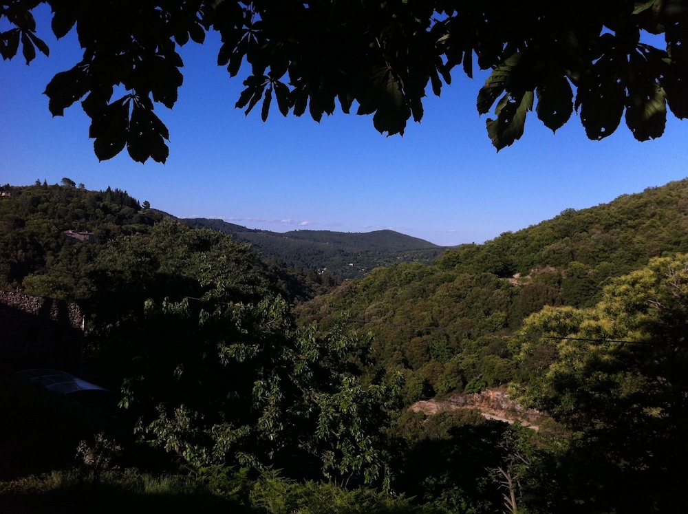 Gîte Cévenol En Pleine Nature Proche D' Anduze, Et De La Bambouseraie - Gard