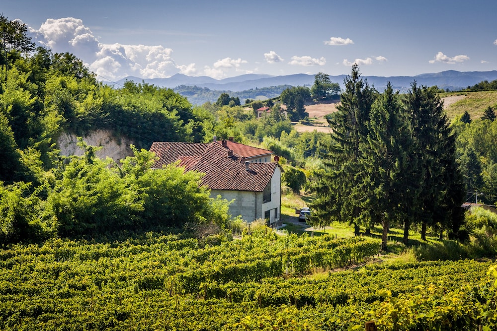 Affascinante Casolare Tra I Vigneti Del Monferrato - Intera Casa - Acqui Terme