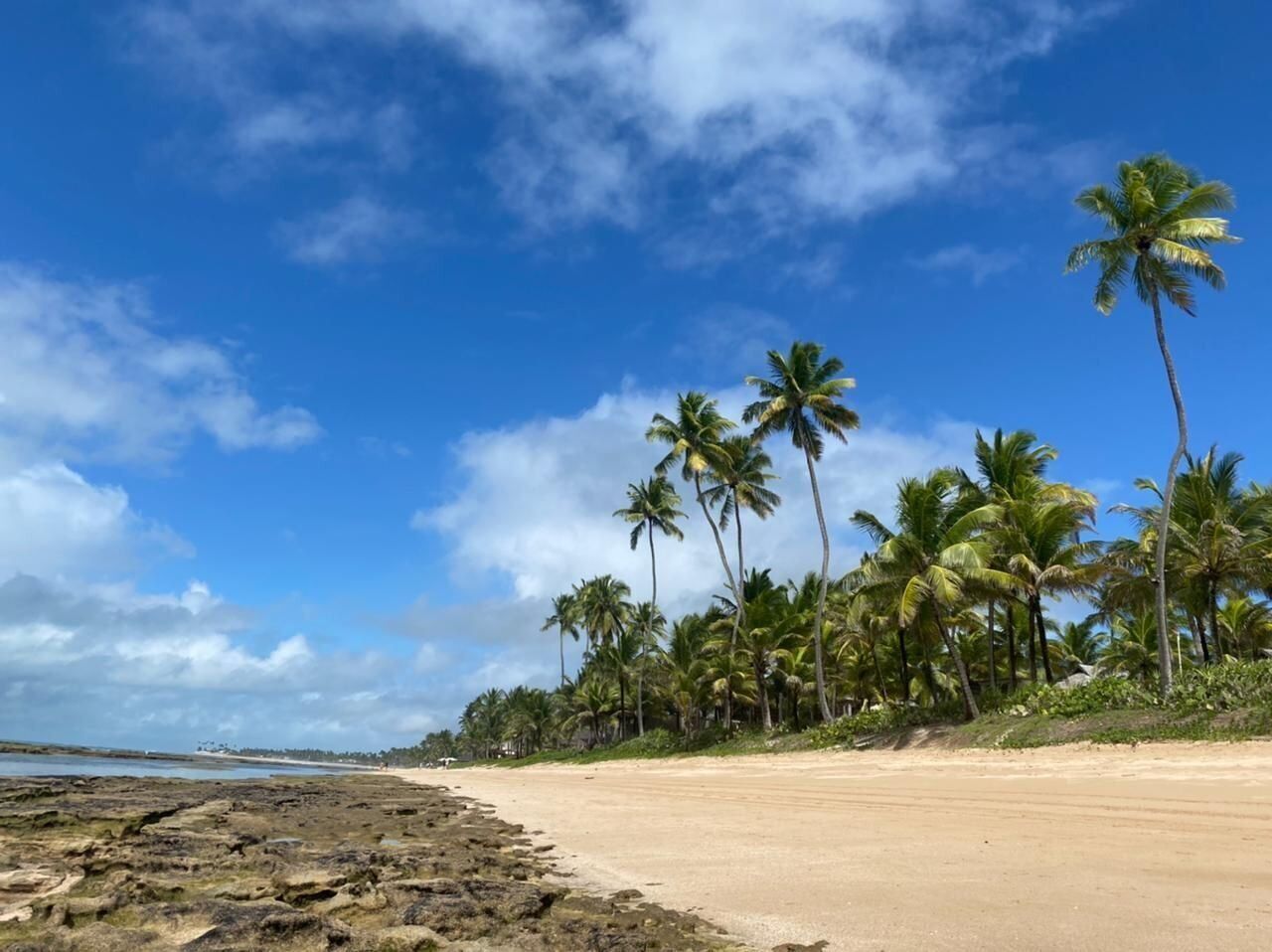 Na praia, bar na praia 