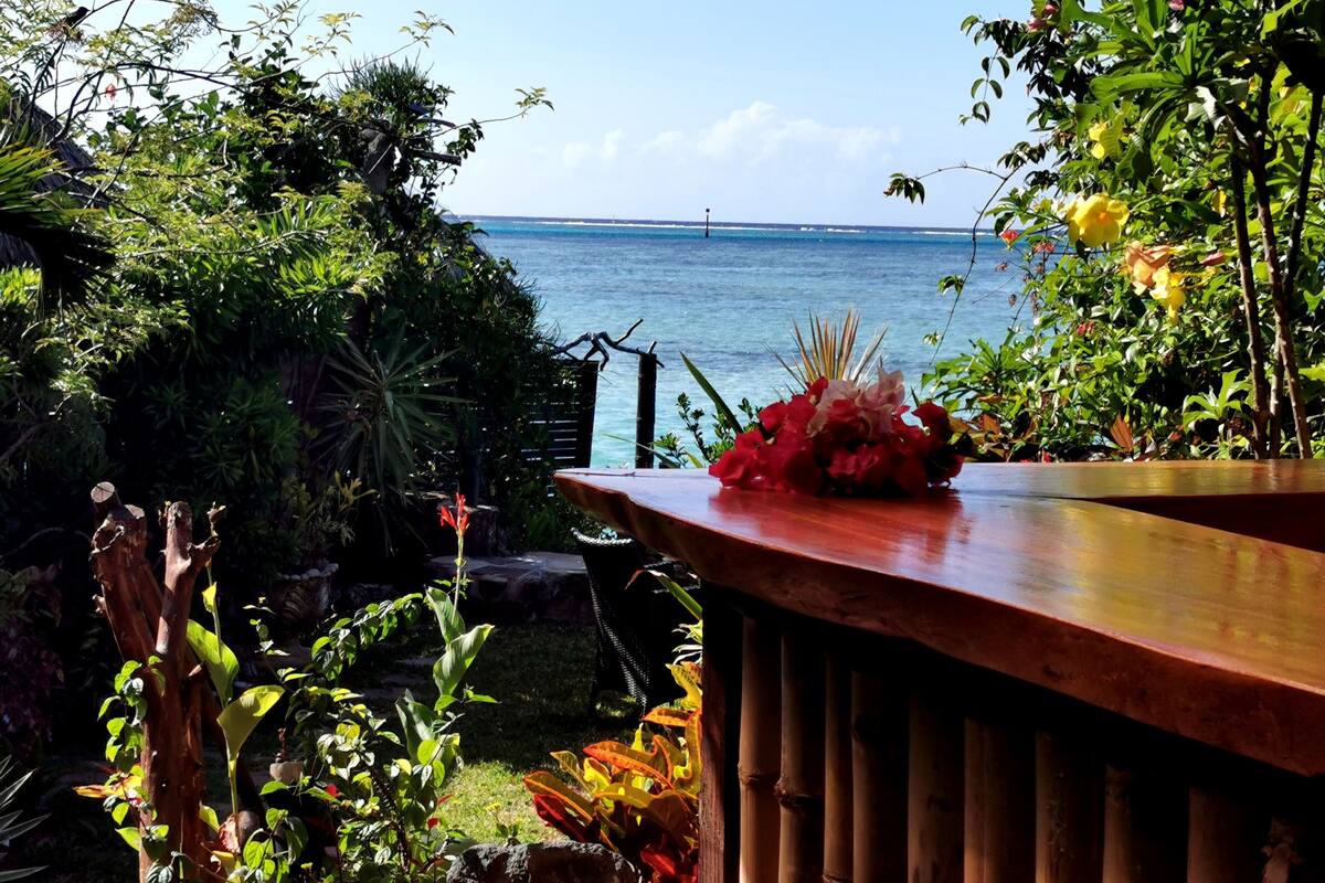 Um deck de madeira com vista para o oceano, rodeado por vegetação exuberante e plantas tropicais.