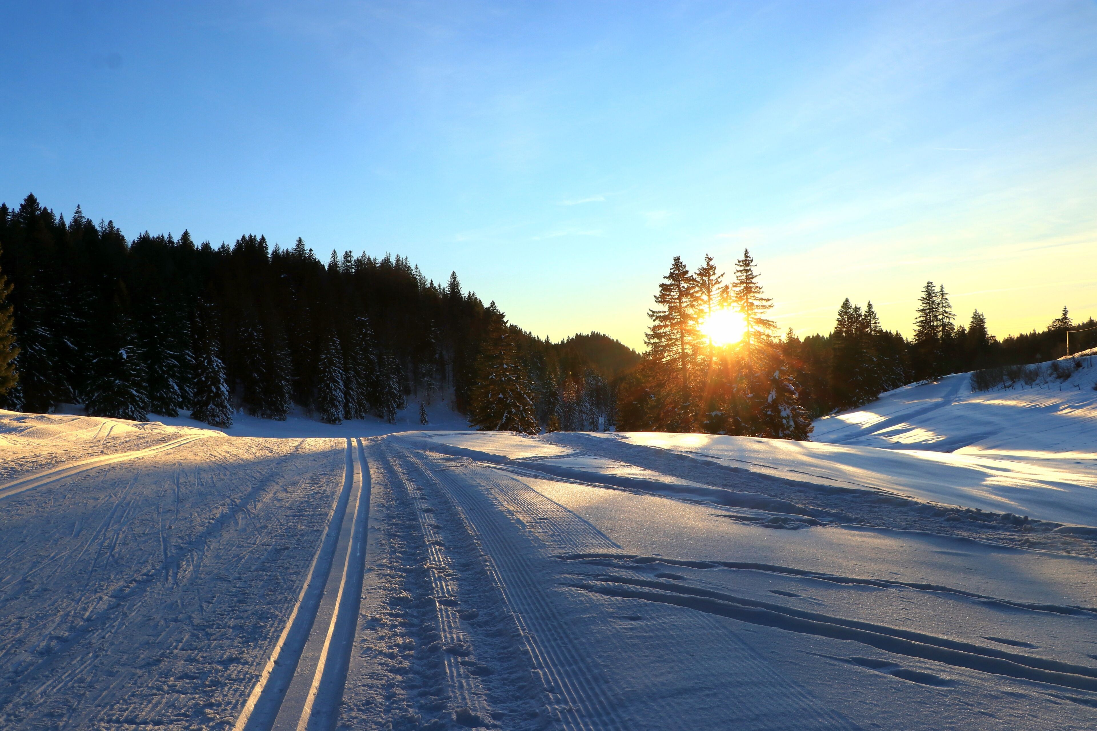 Uma estrada coberta de neve com marcas de pneus que levam a uma área arborizada.