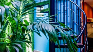 Escada em espiral com corrimão de metal, rodeada por plantas verdes e uma parede azul.