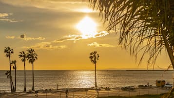 Vista do pôr do sol com palmeiras e uma praia.
