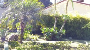 Jardim