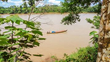 Um rio calmo com um pequeno barco, rodeado por vegetação exuberante e árvores.