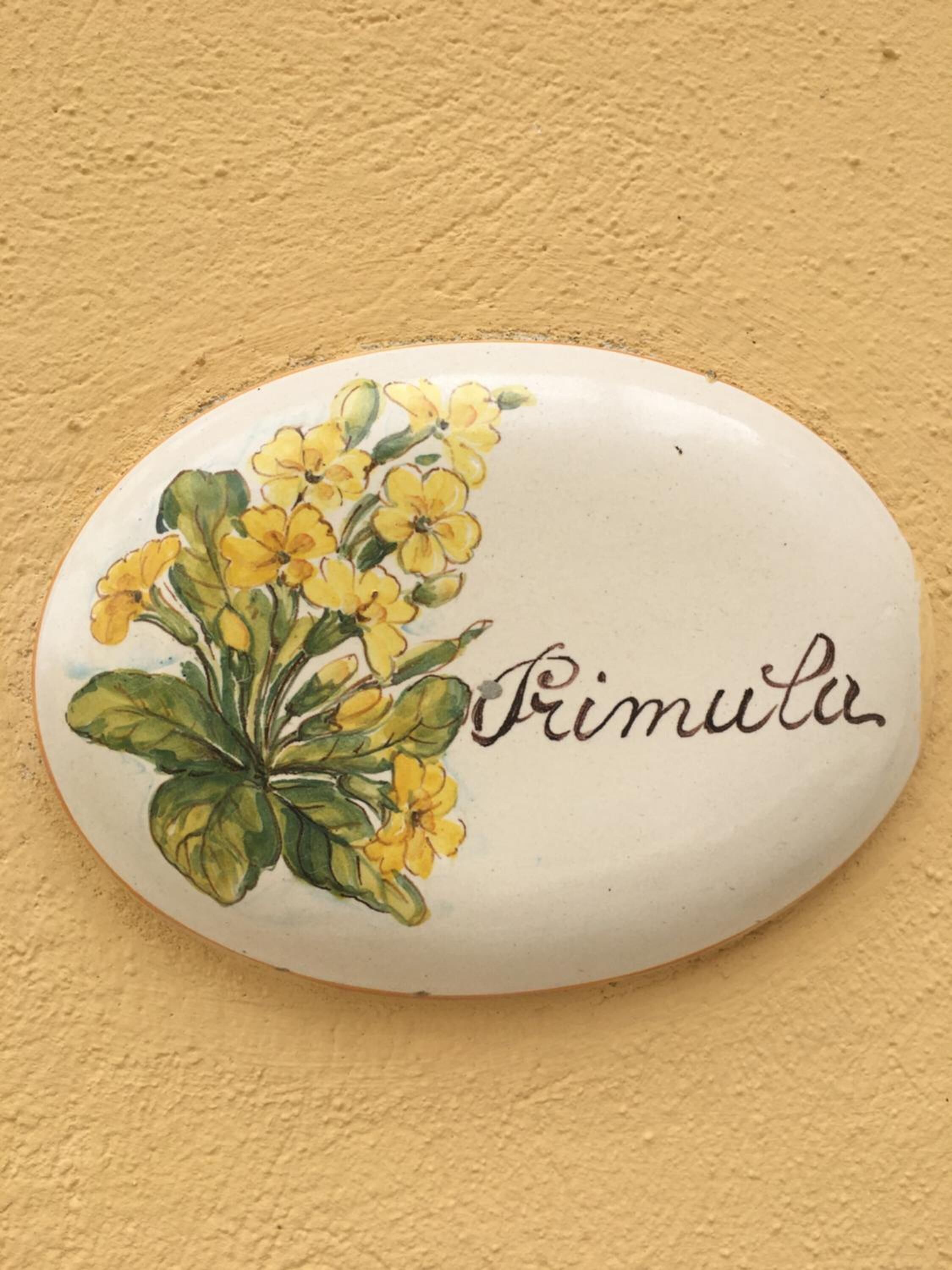 Uma pedra branca com flores amarelas e a palavra "Rimula" escrita nela.