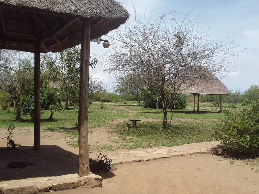 Uma área externa rústica com uma construção de telhado de palha, um caminho de terra e árvores espalhadas.