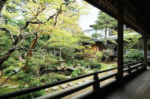 Jardim