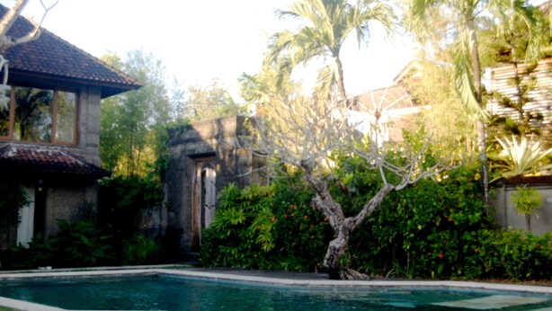 Uma área de piscina com estrutura de pedra, palmeiras e vegetação exuberante.