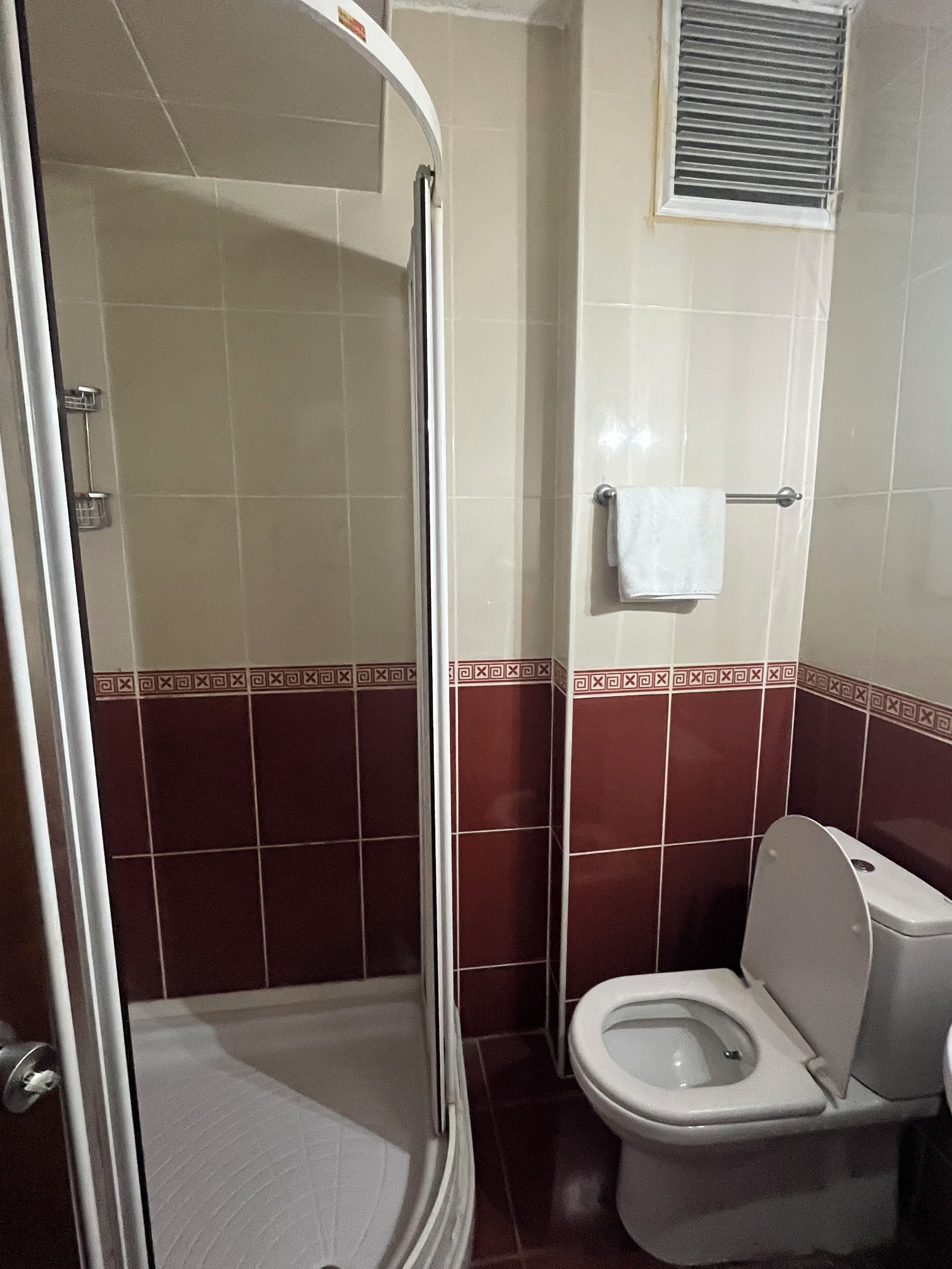 Casa de banho com chuveiro, sanita e porta-toalhas.