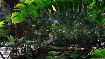 Jardim