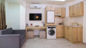 Um espaço de estar compacto com sofá, máquina de lavar, armários de madeira, televisão e luminária de teto.