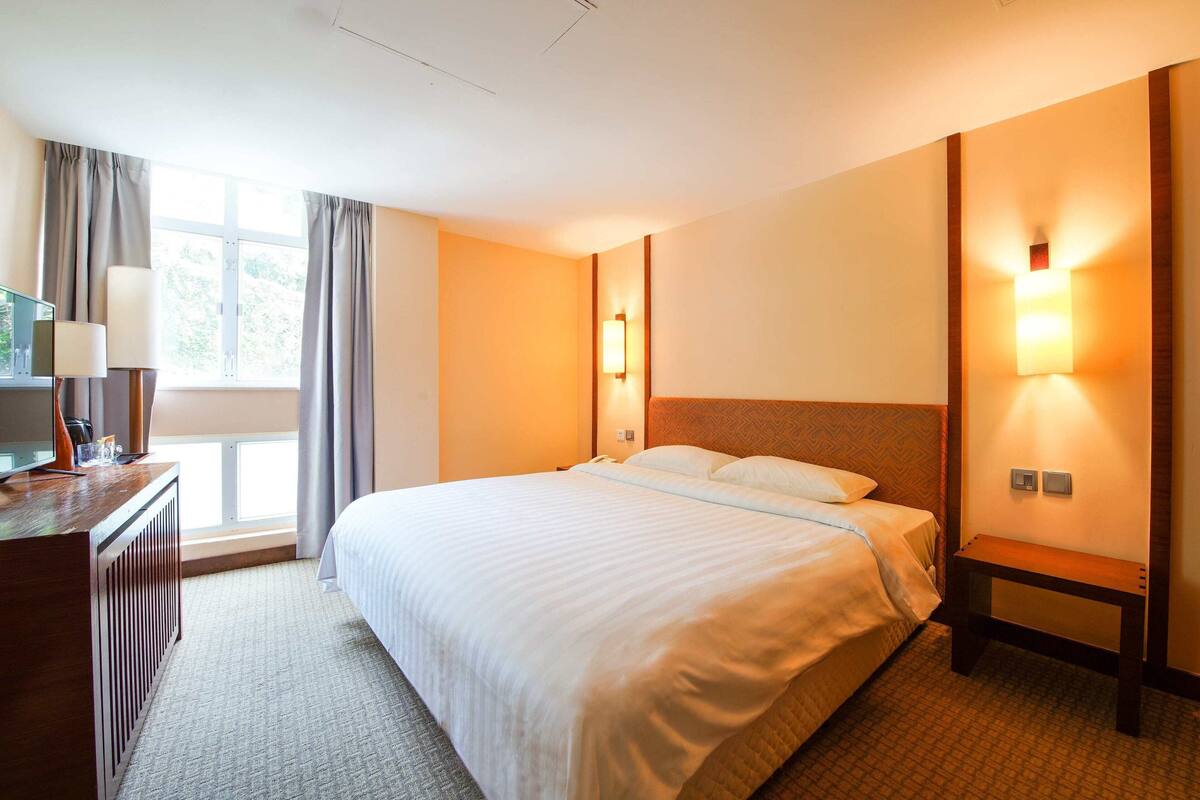 Quarto de hotel com uma cama grande, uma escrivaninha com luminária, uma televisão e uma janela com cortinas.