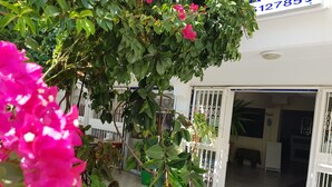 Um jardim residencial com uma planta em vaso, um portão branco e piso de azulejos.