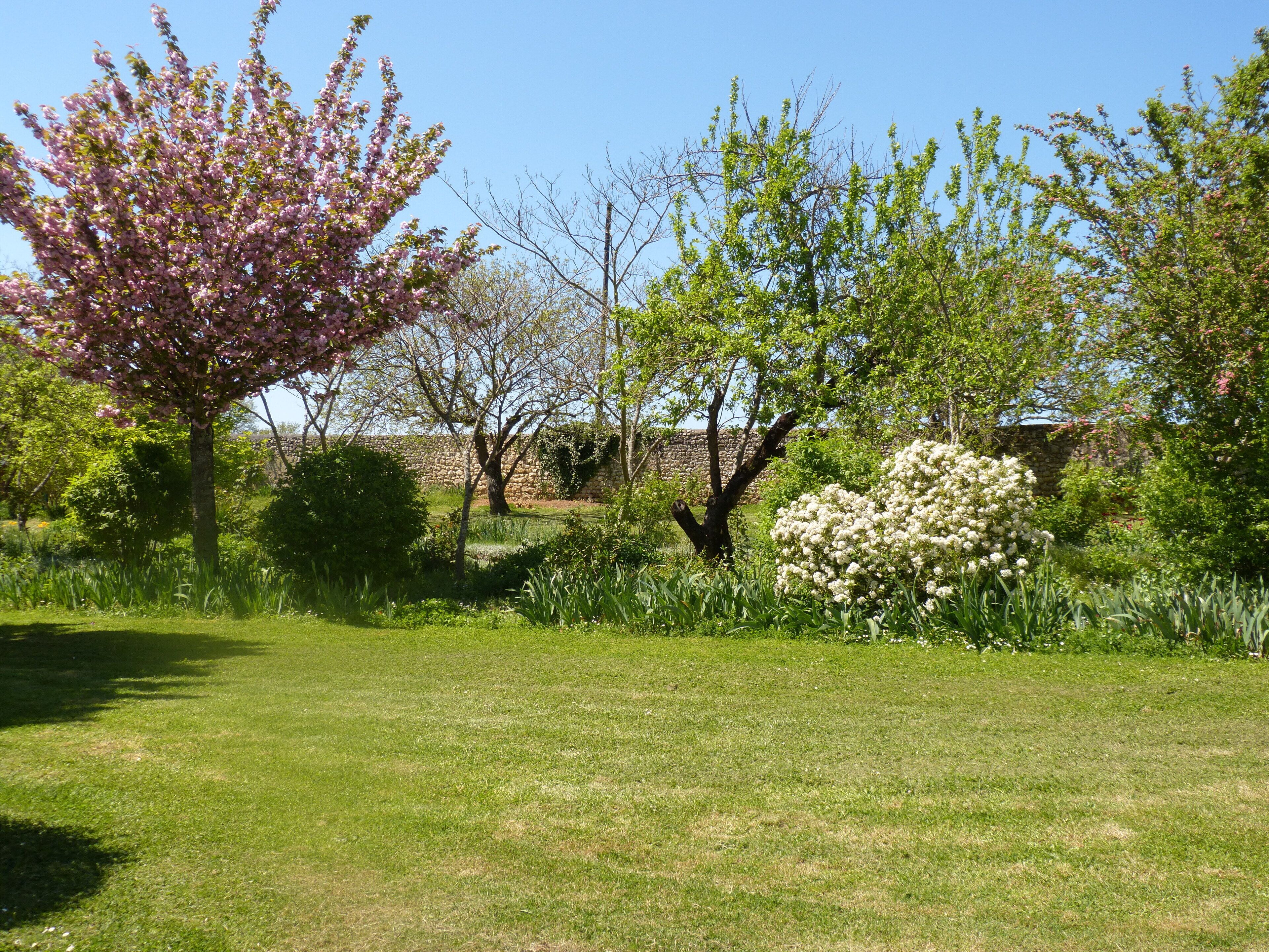 Um jardim com várias árvores floridas e um muro de pedra ao fundo.