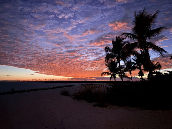 BEACHFRONT, MILLION DOLLAR SUNSETS, DOLPHIN EVERYWHERE Reviews, Deals ...