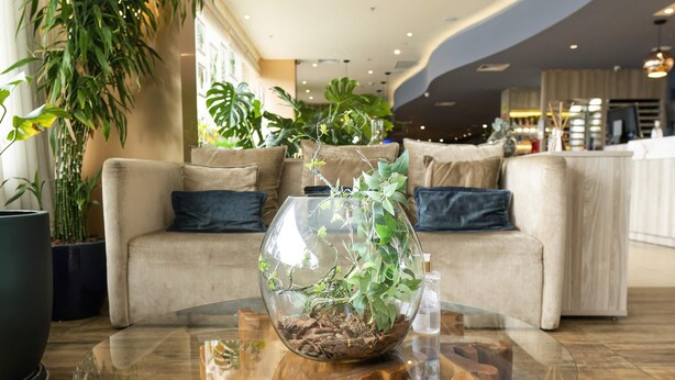 Uma sala de estar moderna com uma mesa de centro de vidro, um sofá bege e diversas plantas de interior.