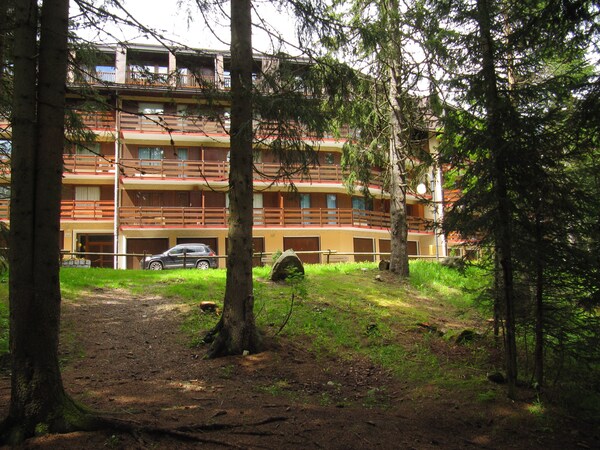 Sunny & Near Ski Slopes, Hiking Trails, Bike Trails And Golf - Madonna di Campiglio