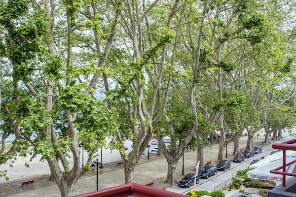 Vista da propriedade