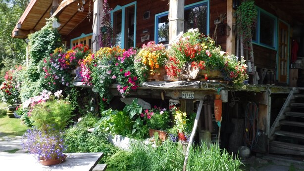 Uma cabana de madeira com varanda coberta por flores coloridas e diversos vasos de plantas.