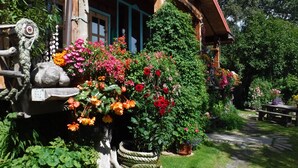 Uma casa de madeira rústica com um jardim cheio de flores coloridas e uma escultura de pedra.