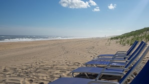 Uma praia com fileiras de cadeiras azuis voltadas para o oceano.