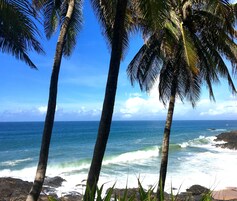 Vista da propriedade