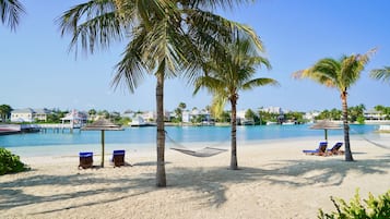Uma praia com palmeiras, uma rede e cadeiras de praia.