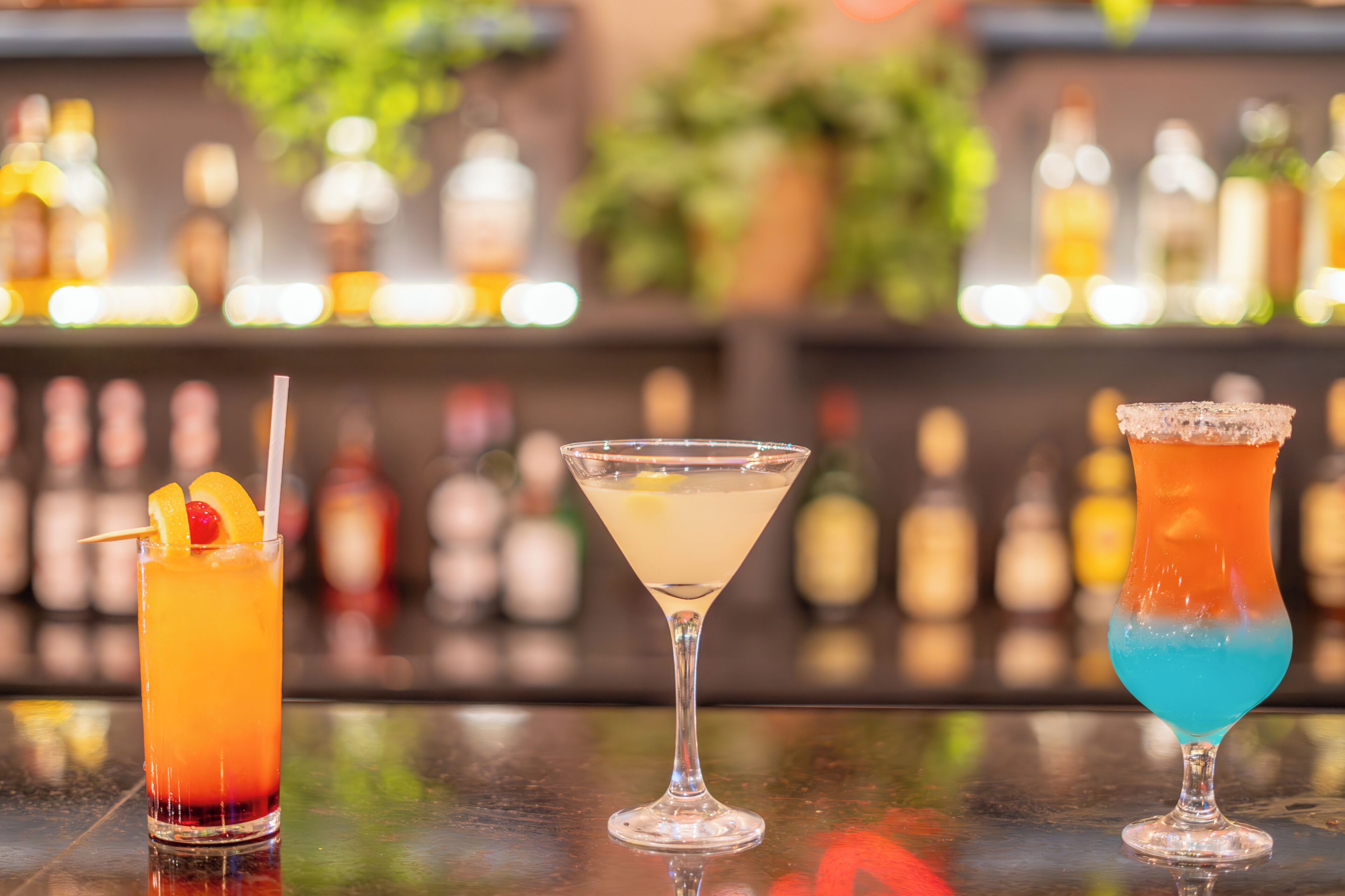 Três cocktails sobre um balcão de bar, com um fundo desfocado de garrafas e vegetação.