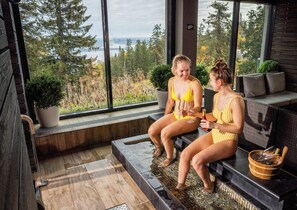 Sauna seca, banheira de hidromassagem, sauna a vapor