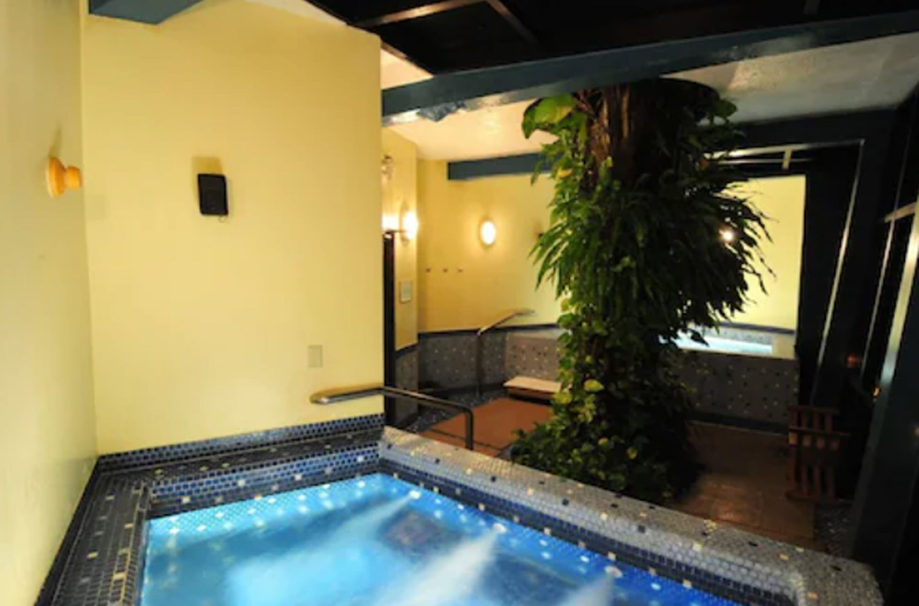 Uma área de spa com hidromassagem, uma planta em vaso e um espaço para sentar.