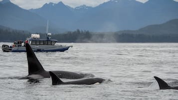 Um barco com pessoas em um corpo d'água, com montanhas ao fundo.