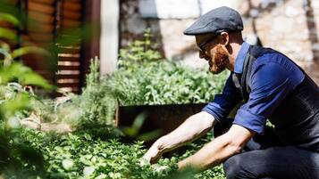 Alguém cuidando de plantas num jardim, com um muro de pedra e estrutura de madeira ao fundo.