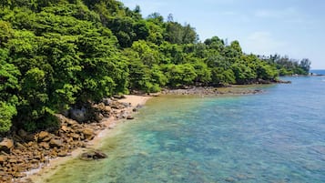 Paisagem costeira com praia clara, litoral rochoso e floresta verde densa.
