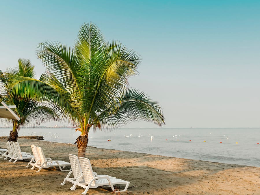 Uma praia com cadeiras de praia brancas, palmeiras e um mar calmo.