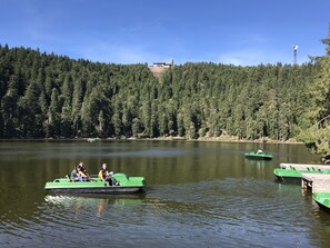 Um lago com barcos verdes e uma colina arborizada ao fundo.