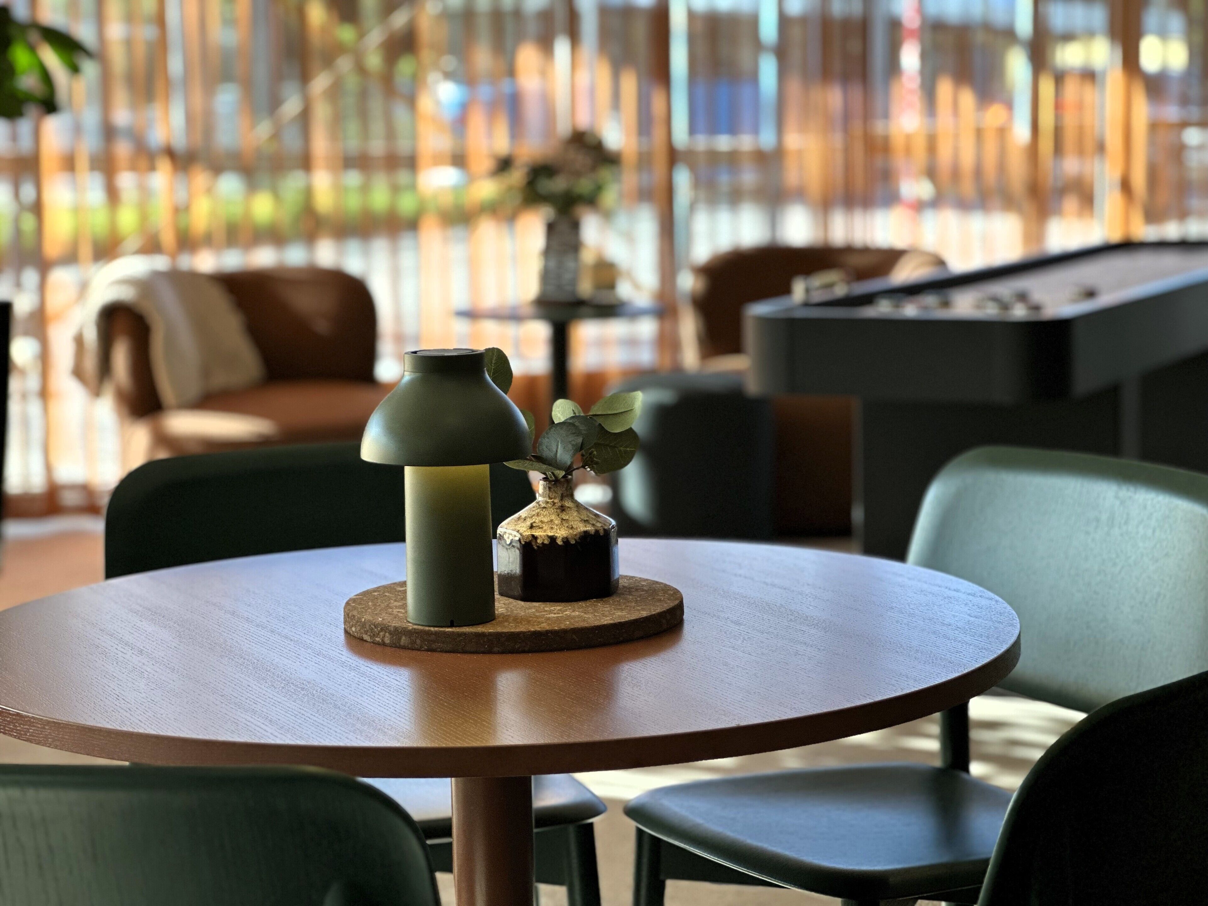 Uma mesa redonda com um vaso e uma pequena planta, rodeada por cadeiras, num quarto com vista pela janela.