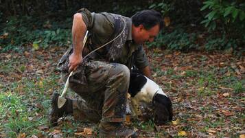 Uma pessoa vestida com roupa de camuflagem ajoelhada no chão, interagindo com um cão preto e branco numa área florestal.
