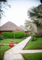 Quarto Standard, vista para o jardim | Vista para o jardim