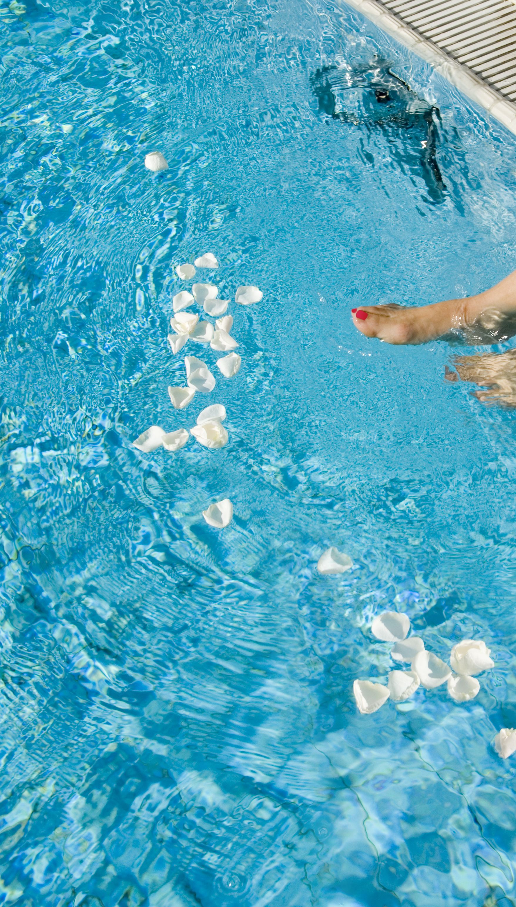 Uma piscina com água azul cristalina e pétalas brancas flutuando.