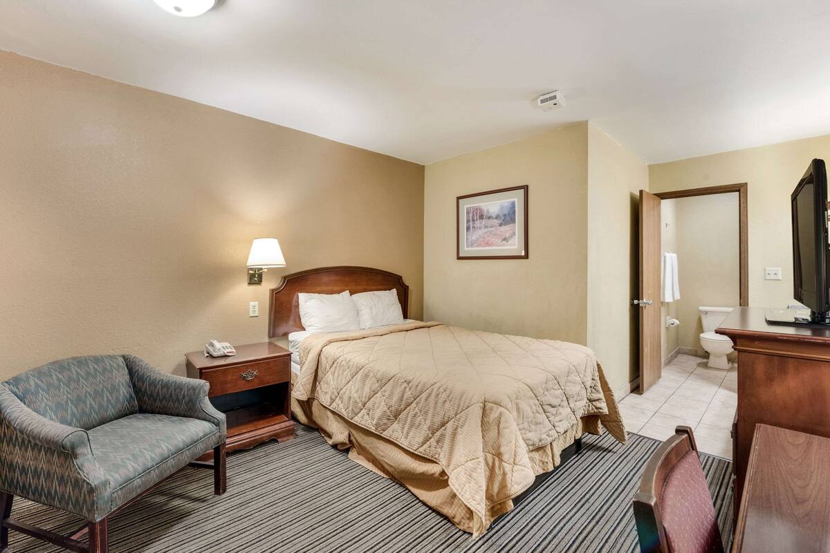 Quarto de hotel com cama, cadeira, mesa de cabeceira, luminária, quadro, vaso sanitário e televisão.
