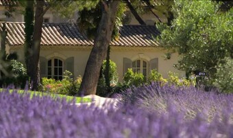 Terrenos do alojamento