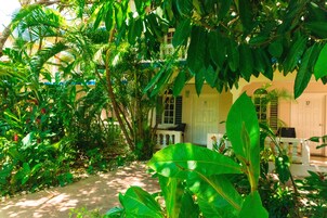 Um jardim exuberante com diversas plantas tropicais e um edifício branco com varanda.
