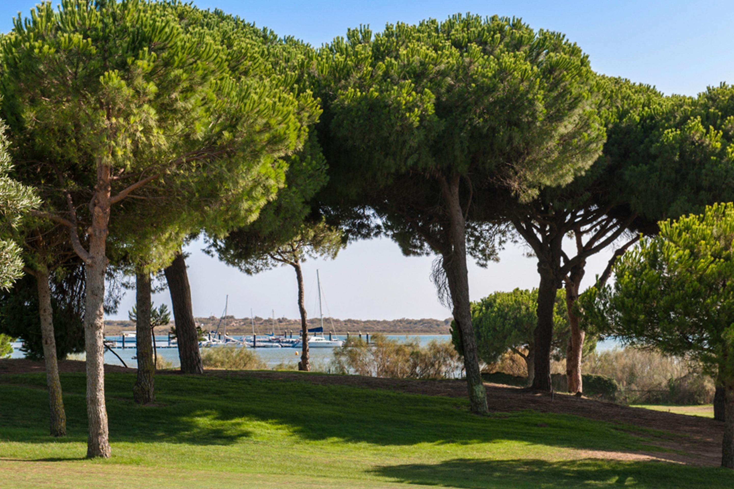 Um parque com várias árvores grandes e um corpo d'água ao fundo.