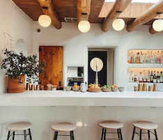 Uma área de bar com banquetas, uma planta em vaso e uma variedade de garrafas nas prateleiras.