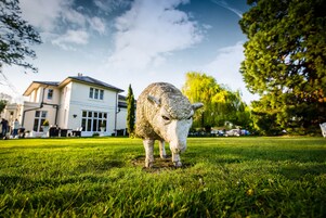 Área da propriedade